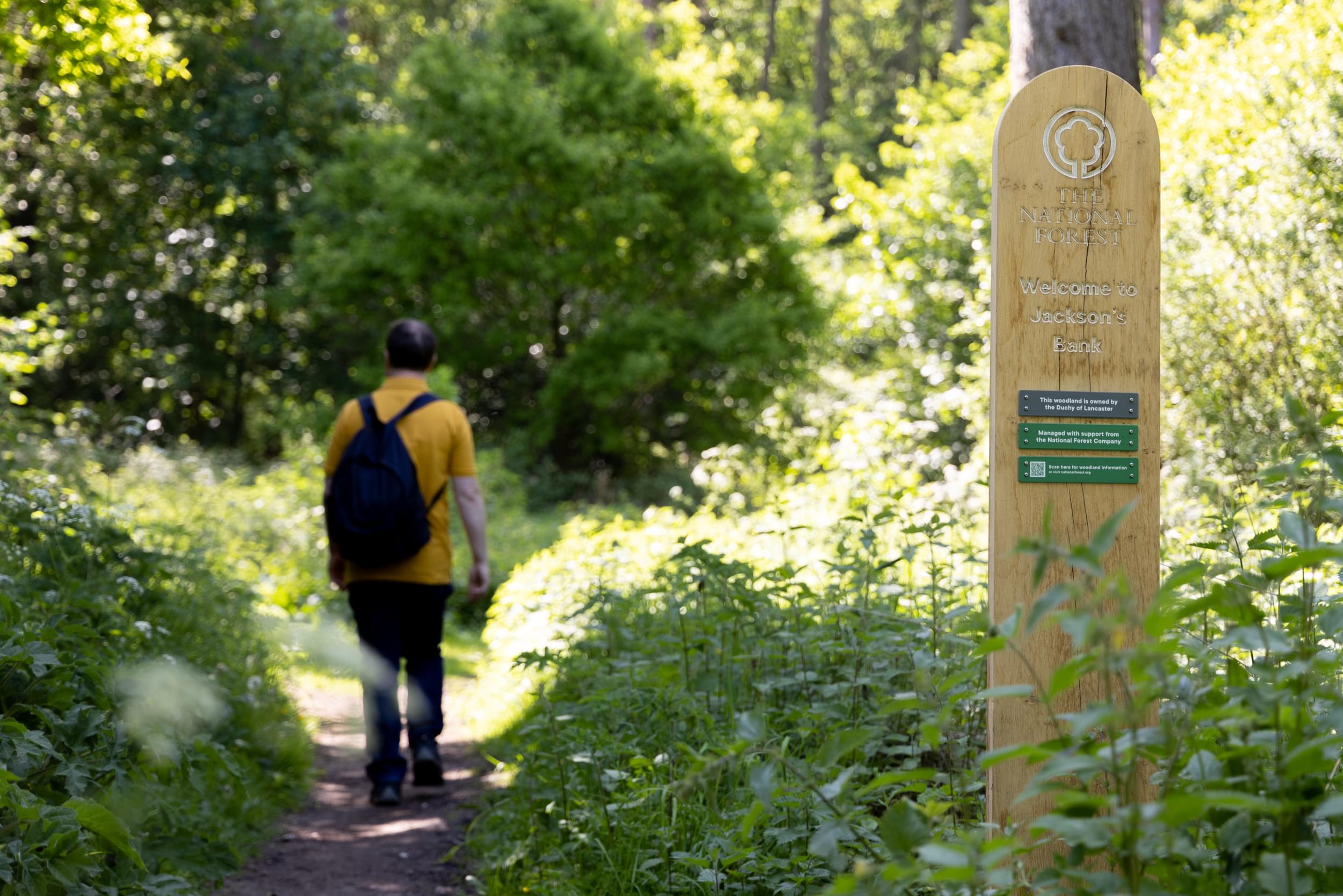 Jackson's Bank | National Forest