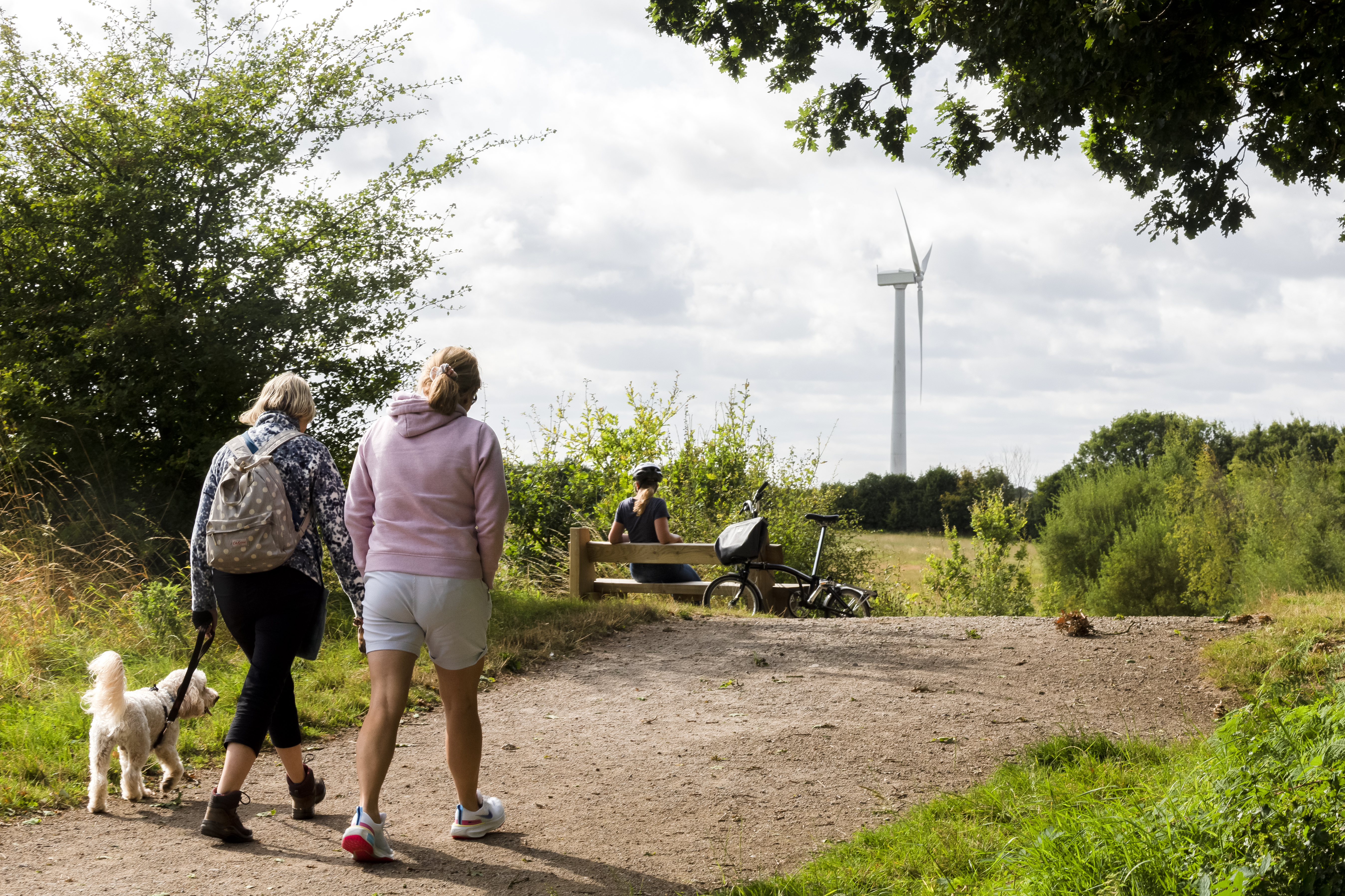 Visitor economy flourishes as the Forest becomes a must-visit