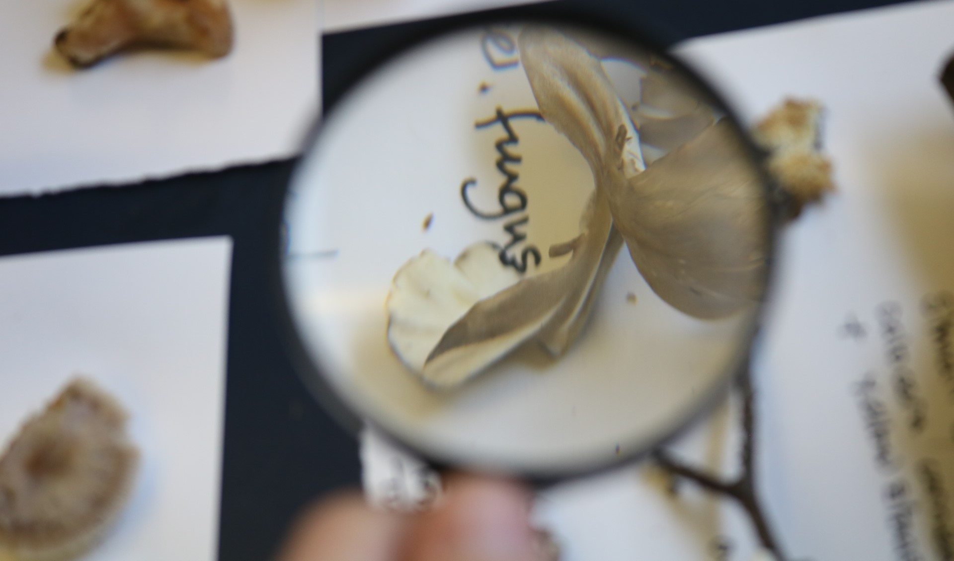 Experience a weekend of fascinating talks, pulsating rhythms and