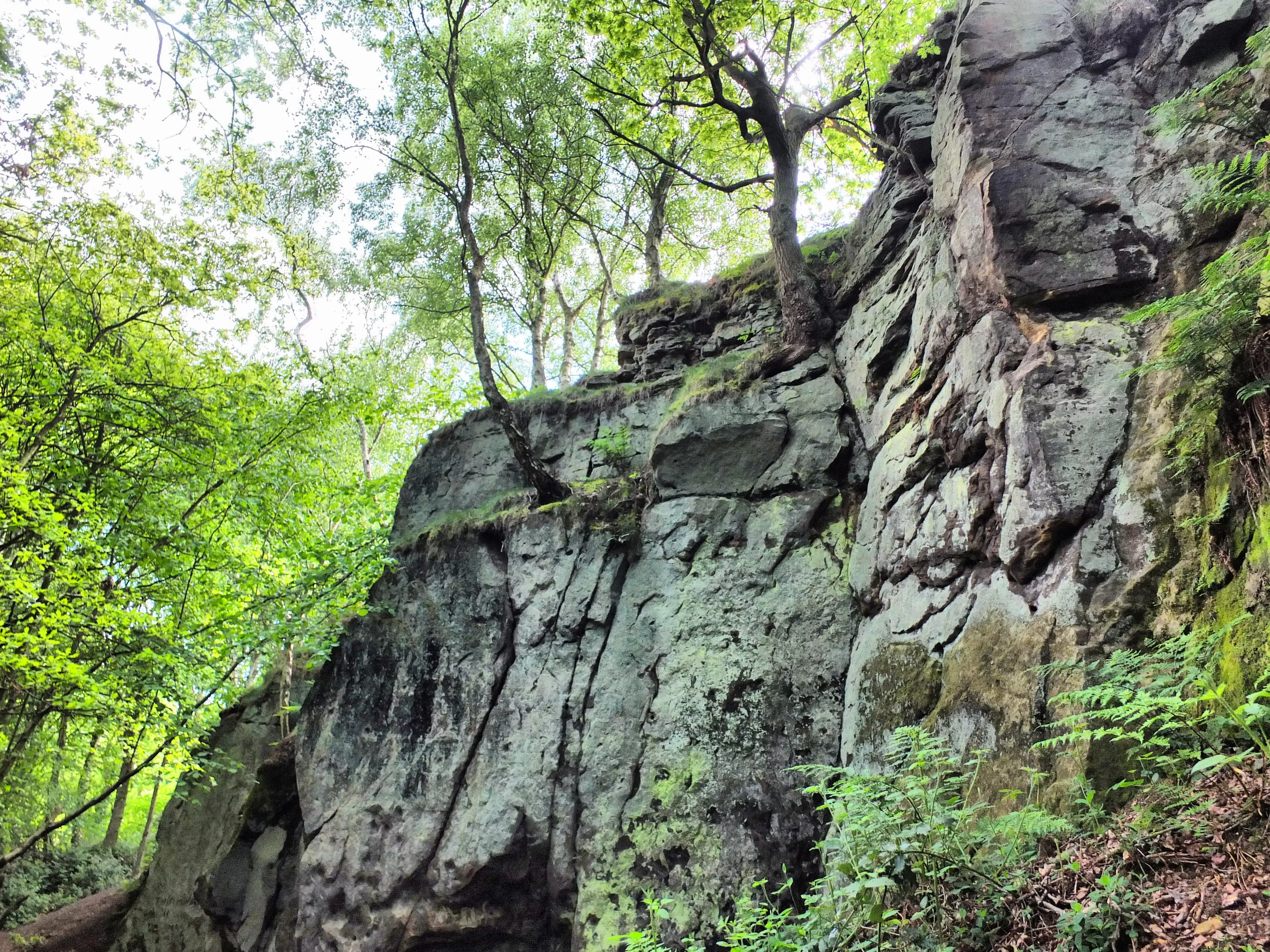 Charnwood Forest Geopark Volunteers | National Forest