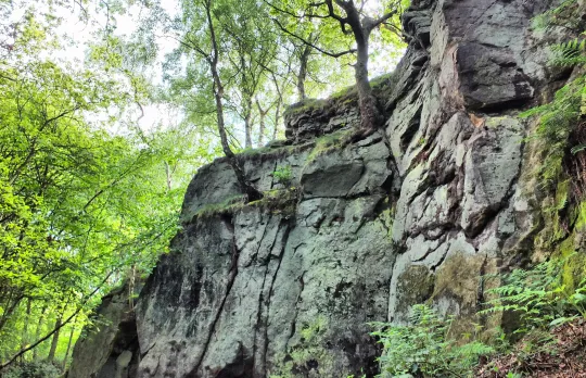 Foremark Reservoir and Carvers Rocks | National Forest