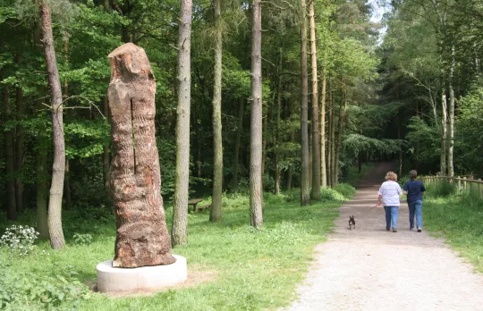 Needwood circular walk | National Forest