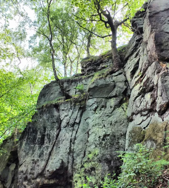 The National Forest Way