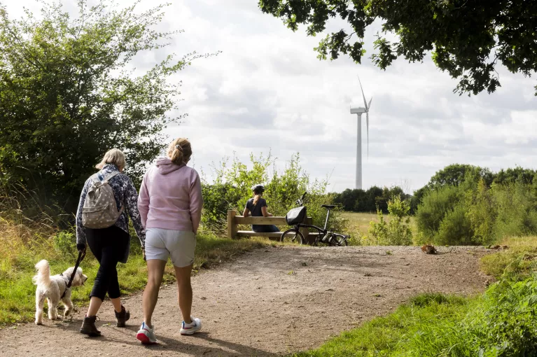 Visitor economy flourishes as the Forest becomes a must-visit