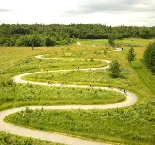 Explore Scenic Cycling Trails in the National Forest